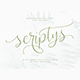 Scriptys, Fonts | GraphicRiver